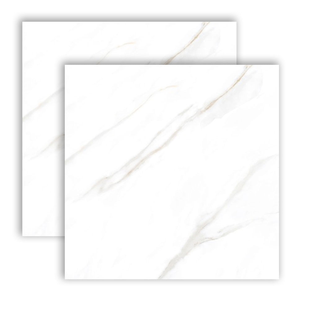 Porcelanato Malden Bianco Lux 100x100cm - Biancogres - Padovani ...